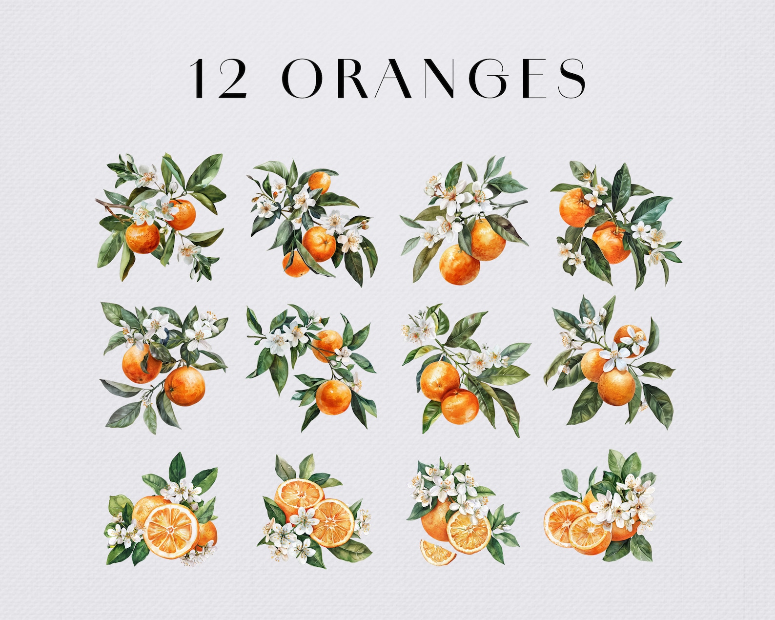 Watercolor Orange Clipart, Spring Clip Art, Floral Clipart Set, Orange ...