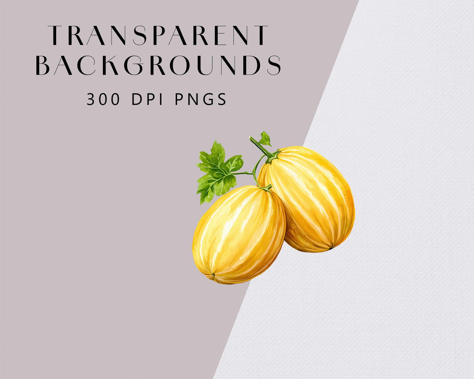 Watercolor Canary Melon Clipart Yellow Fruit PNG Summer Tropical Food ...