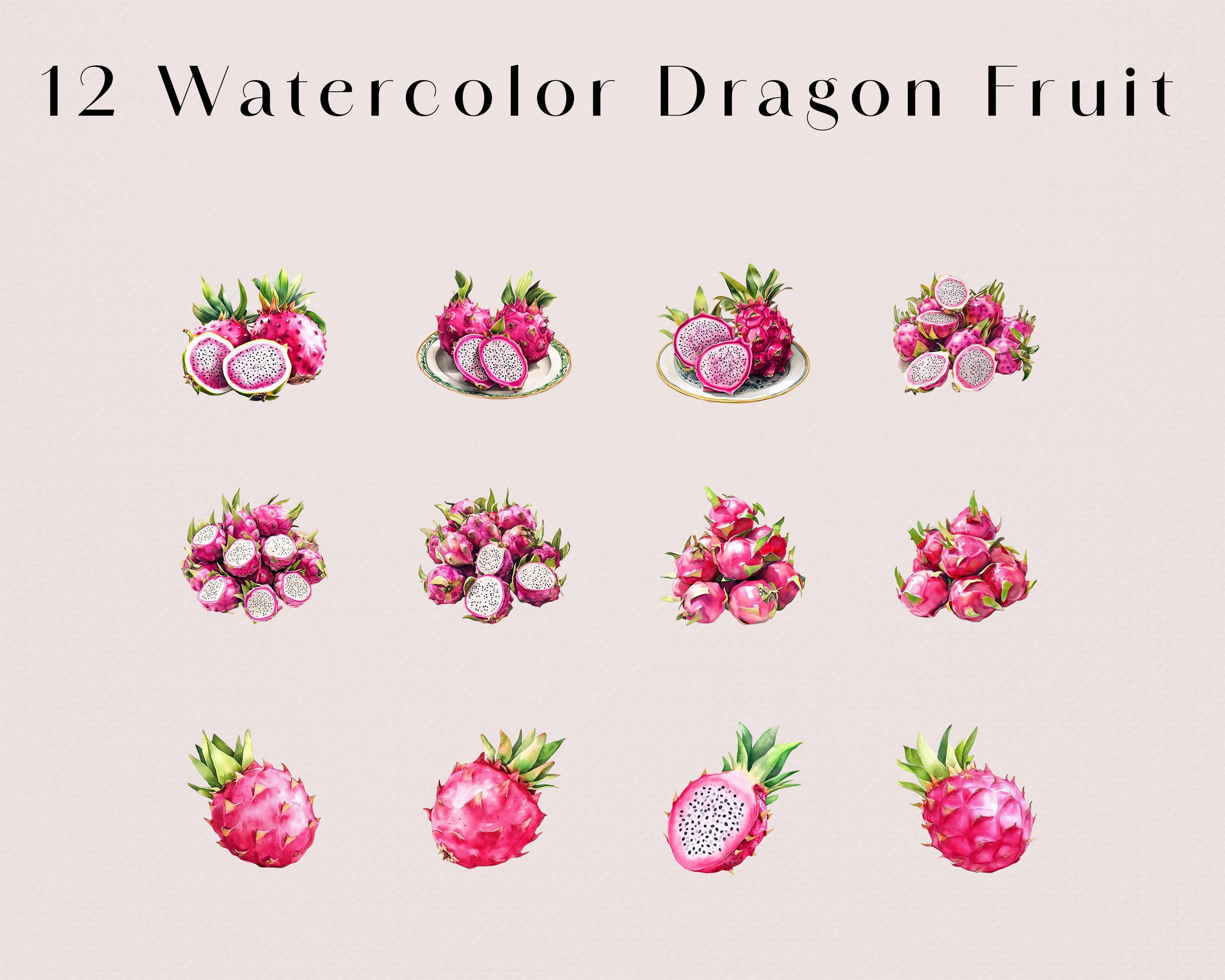 Watercolor Dragonfruit Clipart Dragon Fruit Clip Art Pitaya Clipart ...