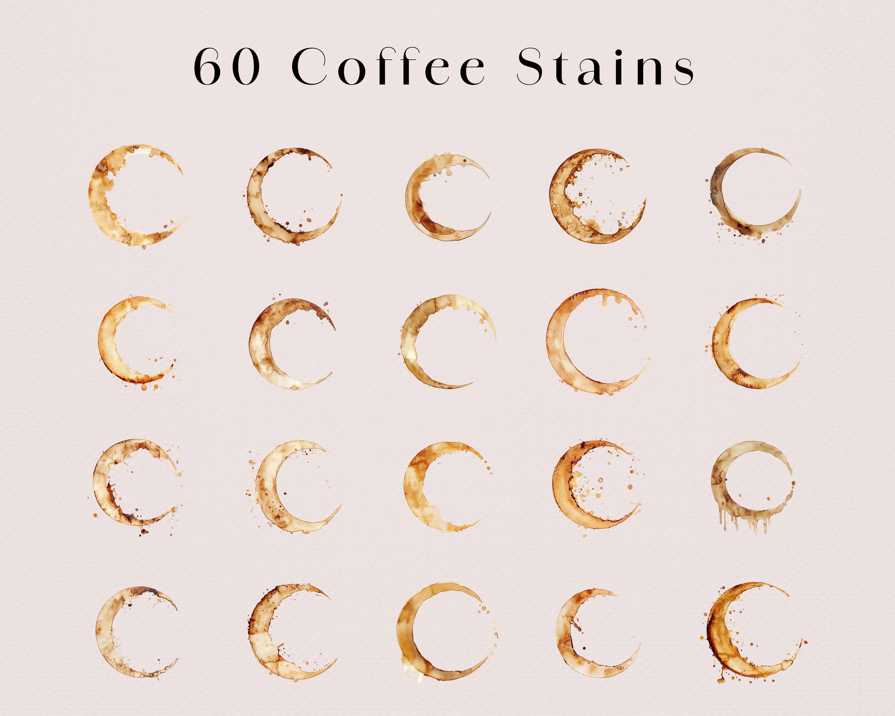 Coffee Stains Clip Art Digital Coffee and Espresso Ring Overlays ...