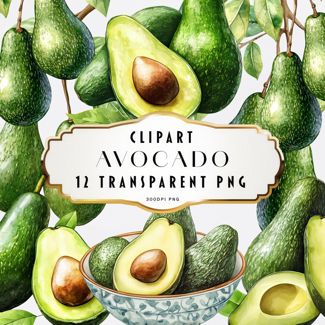 Watercolor Avocado Clipart PNG Digital Download Hand Painted Avocados ...
