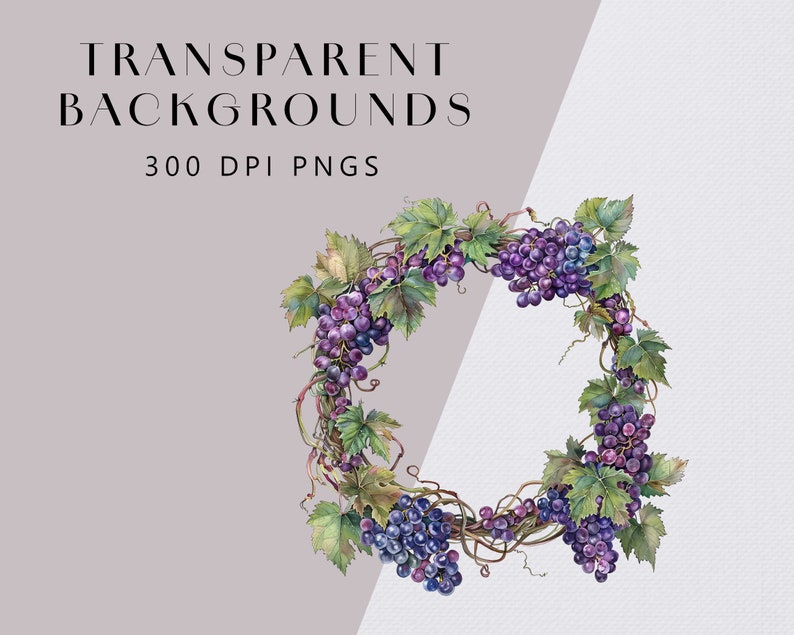 Watercolor Grapes Clipart, Spring Clip Art, Floral Clipart Set, Grape ...