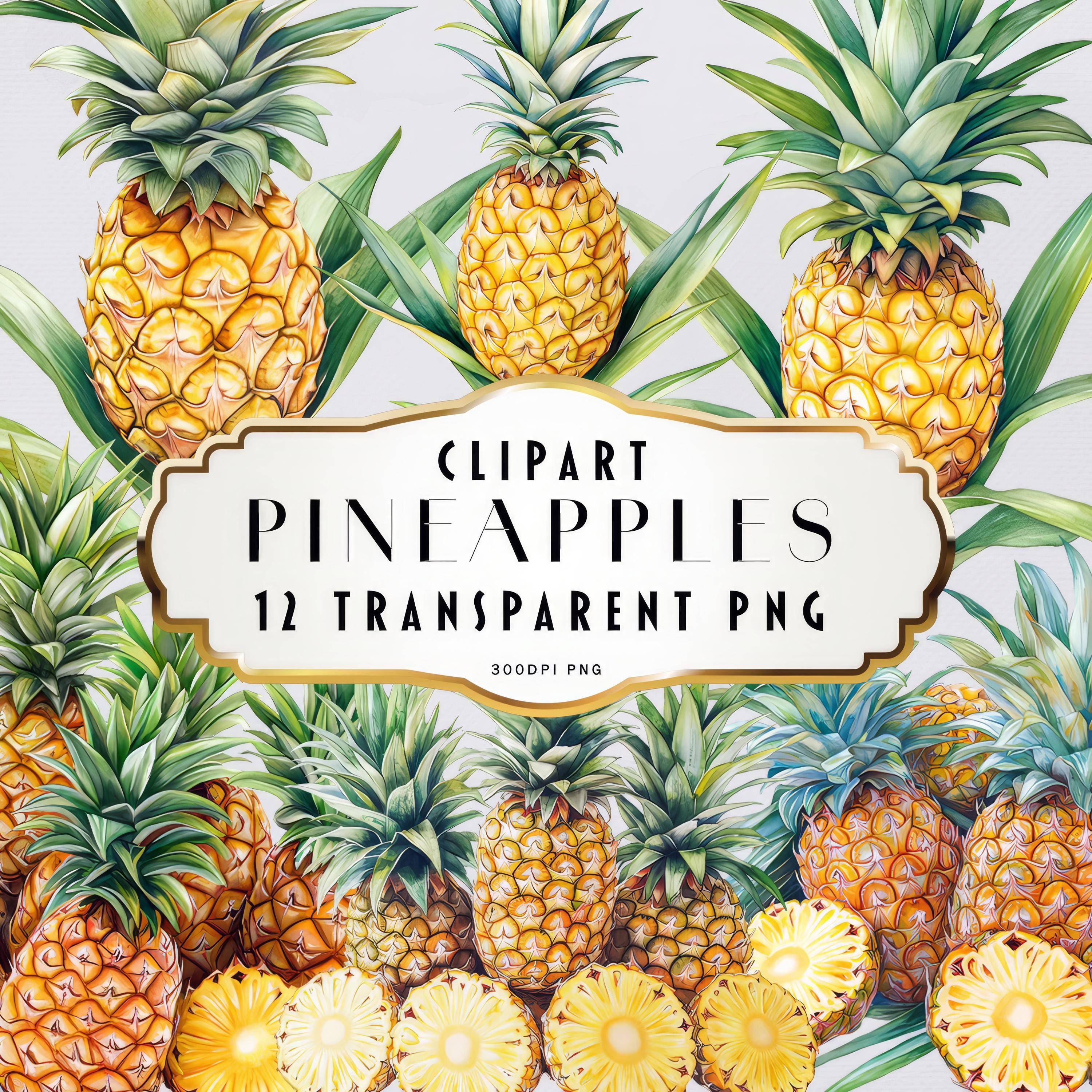 Watercolor Pineapple Clipart Tropical Clip Art Summer Clip Art ...