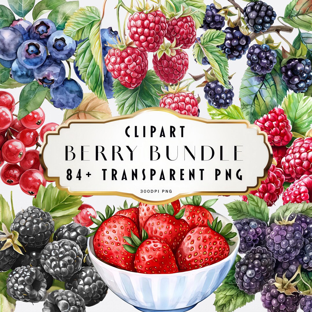 Berry Watercolor Clipart PNG Bundle Strawberry Blueberry Raspberry ...