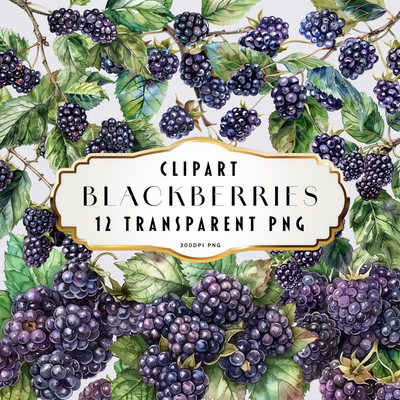 Blackberry Clip Art - Etsy