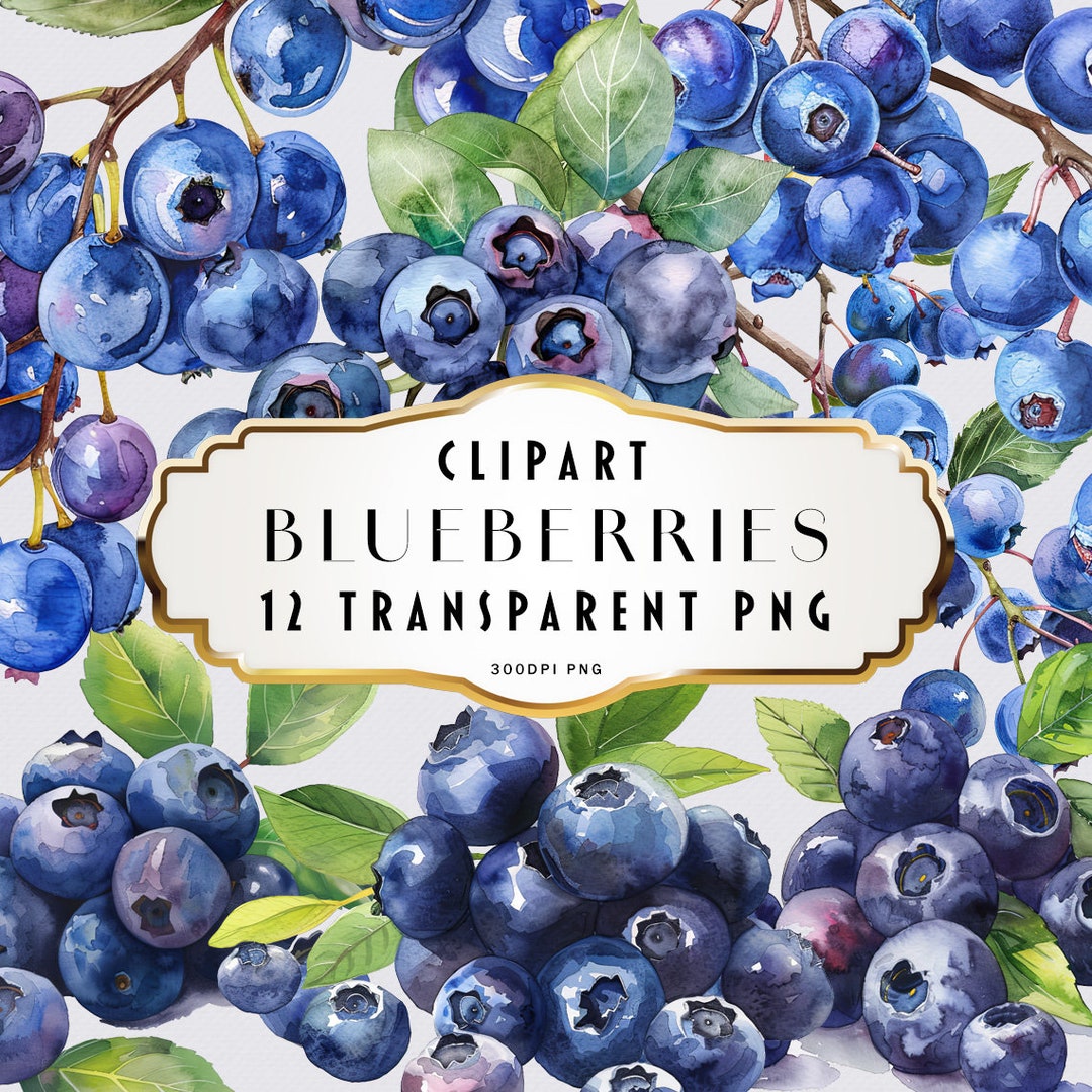 Watercolor Blueberries Clipart, Summer Clip Art, Floral Clipart Set ...