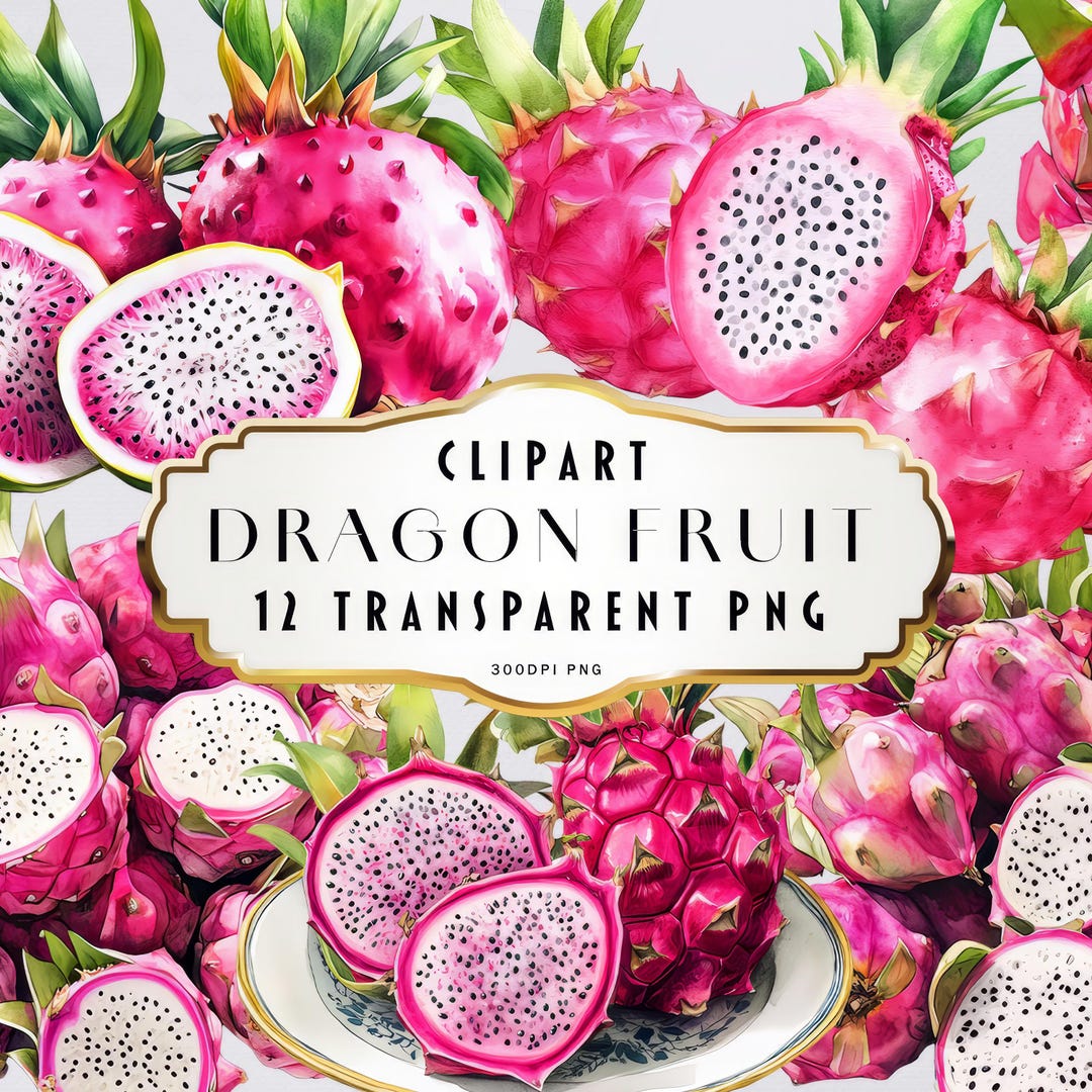 Watercolor Dragonfruit Clipart Dragon Fruit Clip Art Pitaya Clipart ...