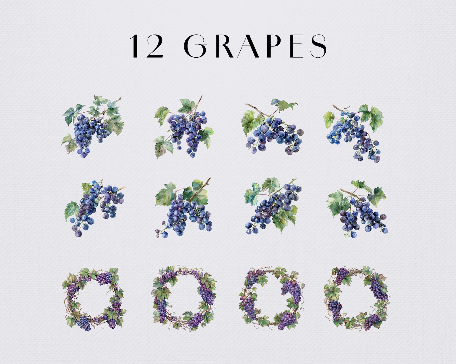 Watercolor Grapes Clipart, Spring Clip Art, Floral Clipart Set, Grape ...