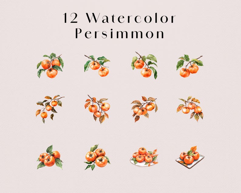Watercolor Persimmon Clipart, Autumn Clip Art, Persimmon Clip Art Set ...
