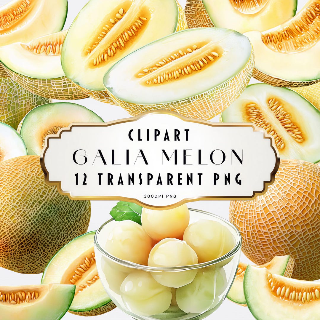 Watercolor Galia Melon Clipart Bundle Sarda Melon PNG Summer Fruit Art ...