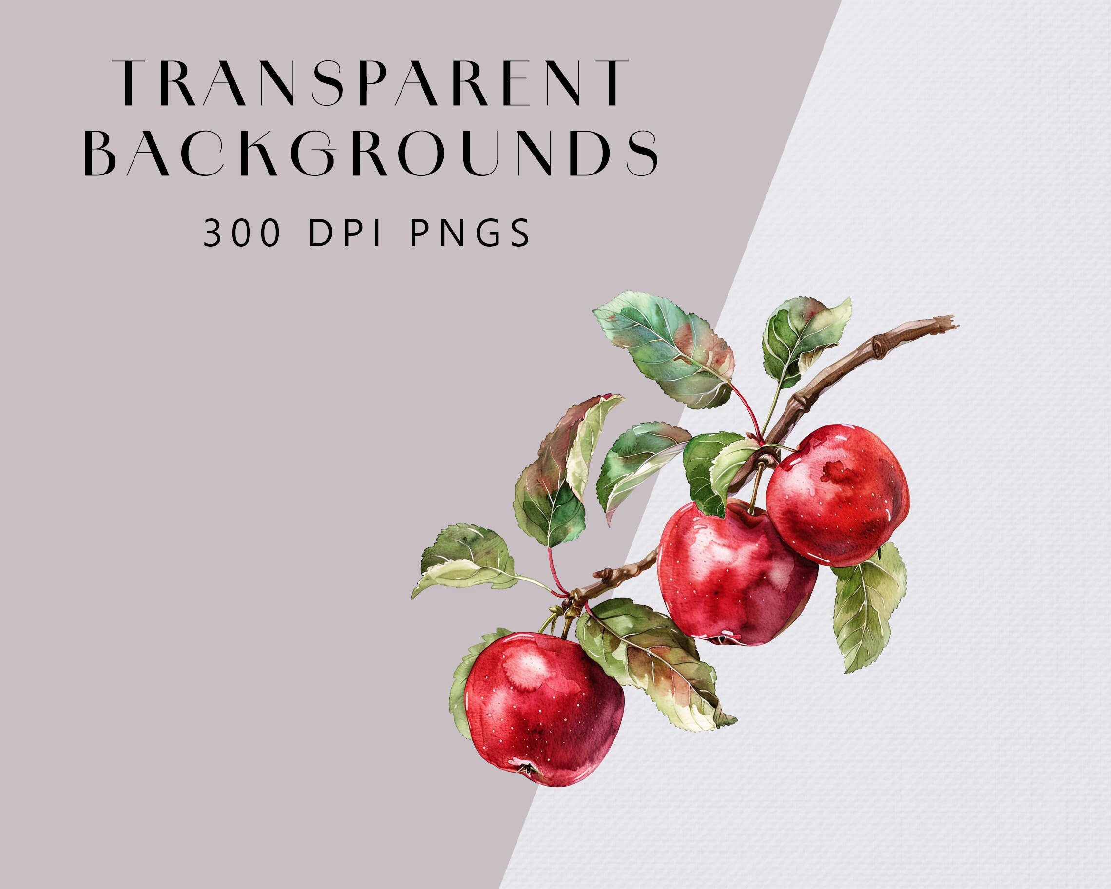 Watercolor Apples Clipart, Summer Clip Art, Floral Clipart Set, Apple ...