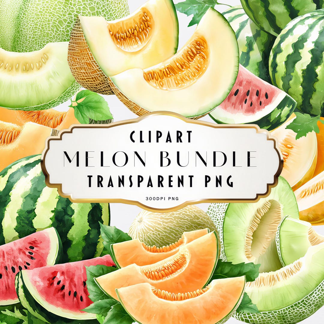 Watercolor Melon Clipart Bundle PNG Watermelon Cantaloupe Honeydew ...