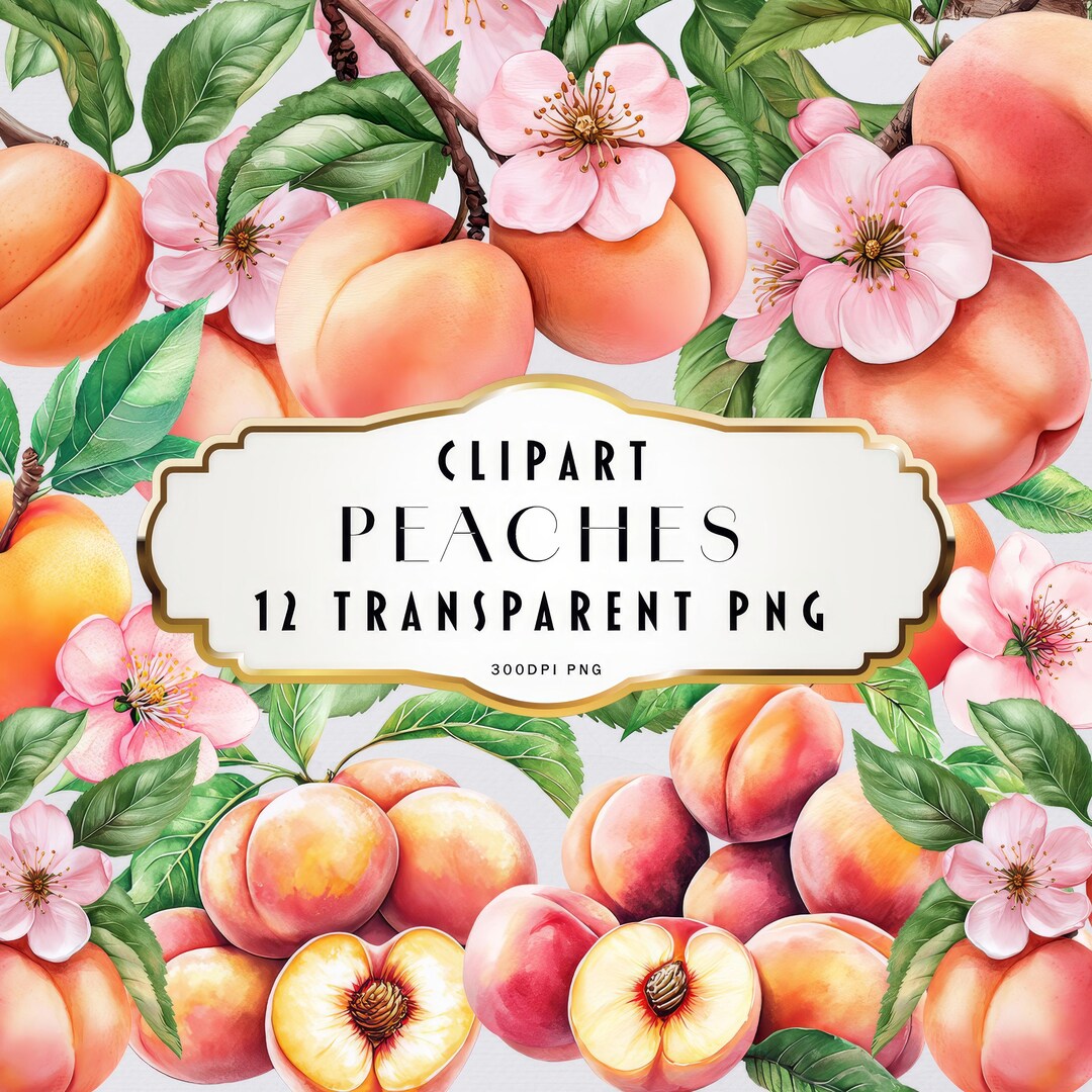Watercolor Peach Clipart Fruit Clip Art Summer Clip Art Floral Clipart ...