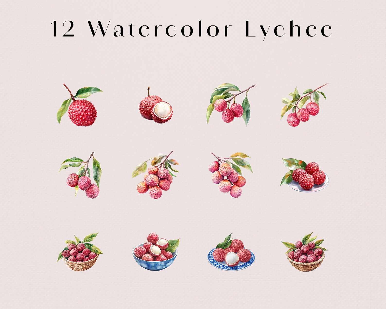 Watercolor Lychee Clipart Fruit Clip Art Tropical Fruit Clipart Exotic ...