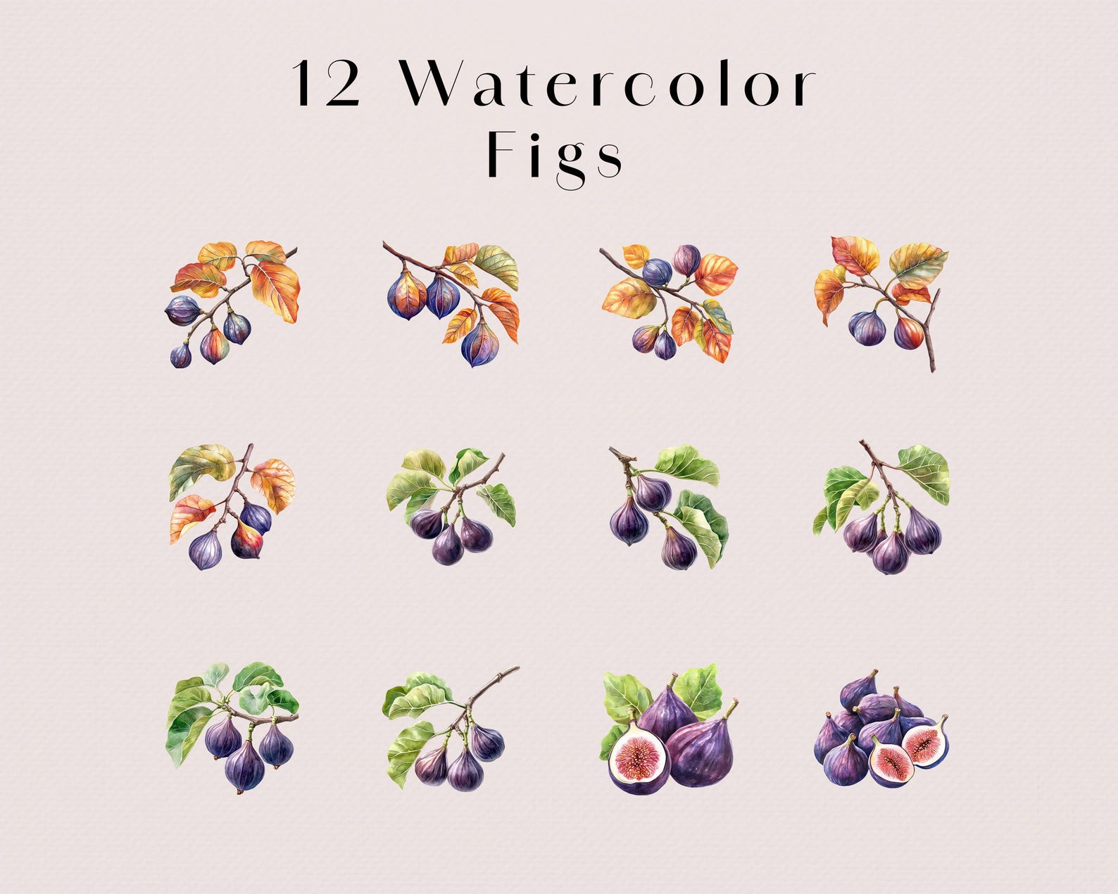 Watercolor Figs Clipart, Autumn Clip Art, Fig Fruit Clip Art Set, Fig ...