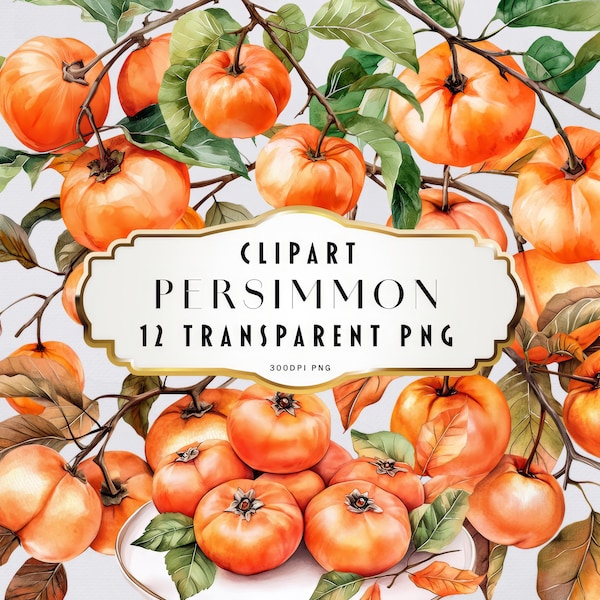 Persimmons Stencils - Etsy