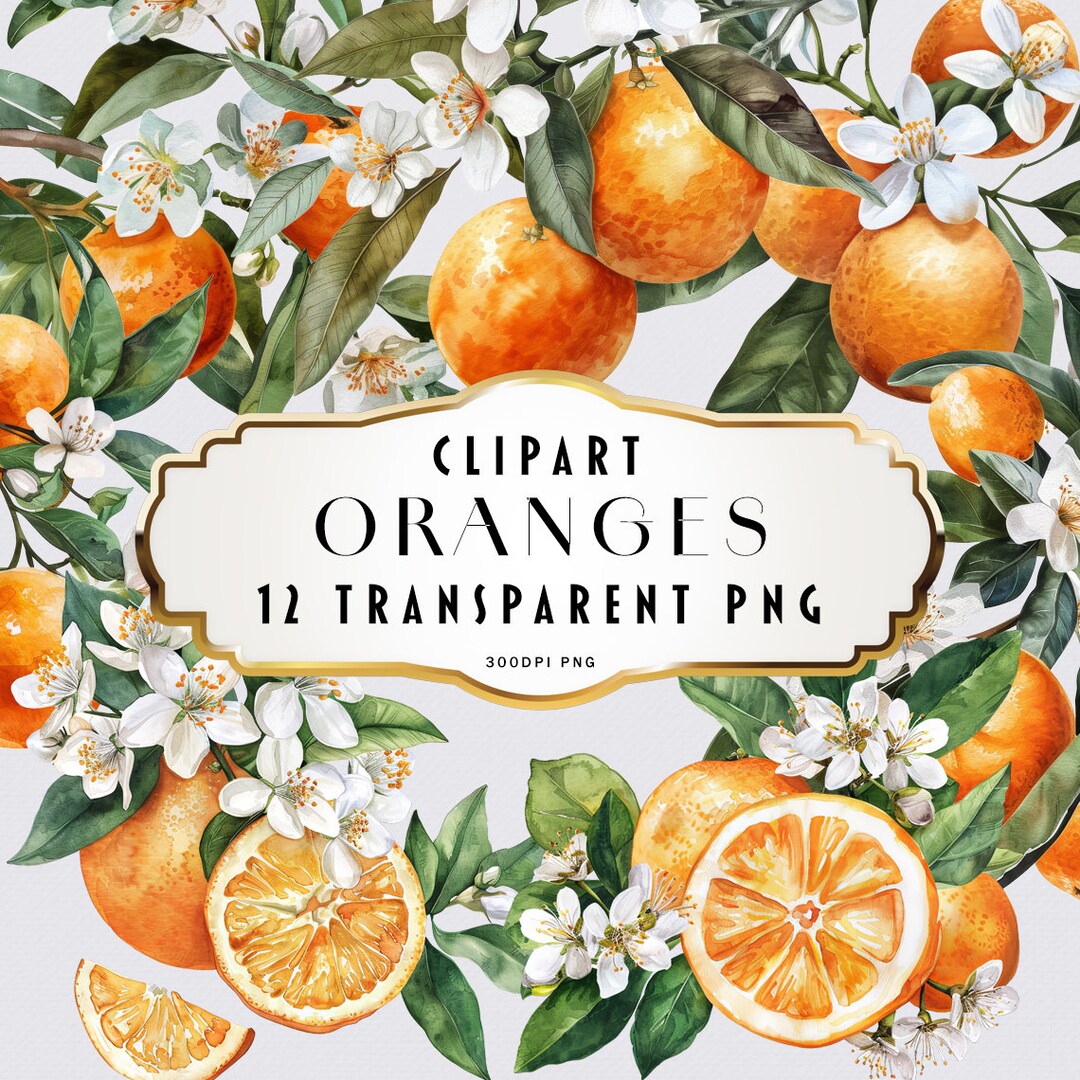 Watercolor Orange Clipart, Spring Clip Art, Floral Clipart Set, Orange ...