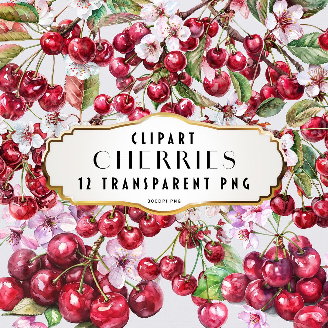Watercolor Cherries Clipart, Spring Clip Art, Floral Clipart Set ...