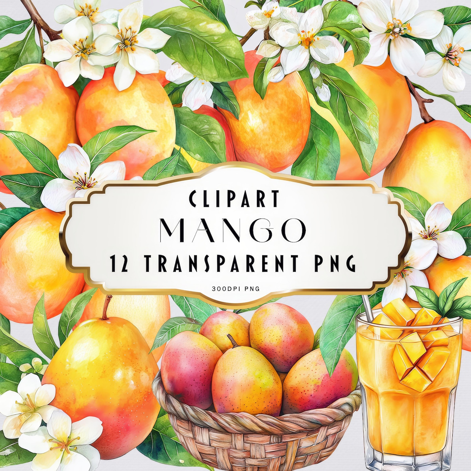 Watercolor Mango Clipart Mango Juice Clip Art Summer Floral Clipart ...