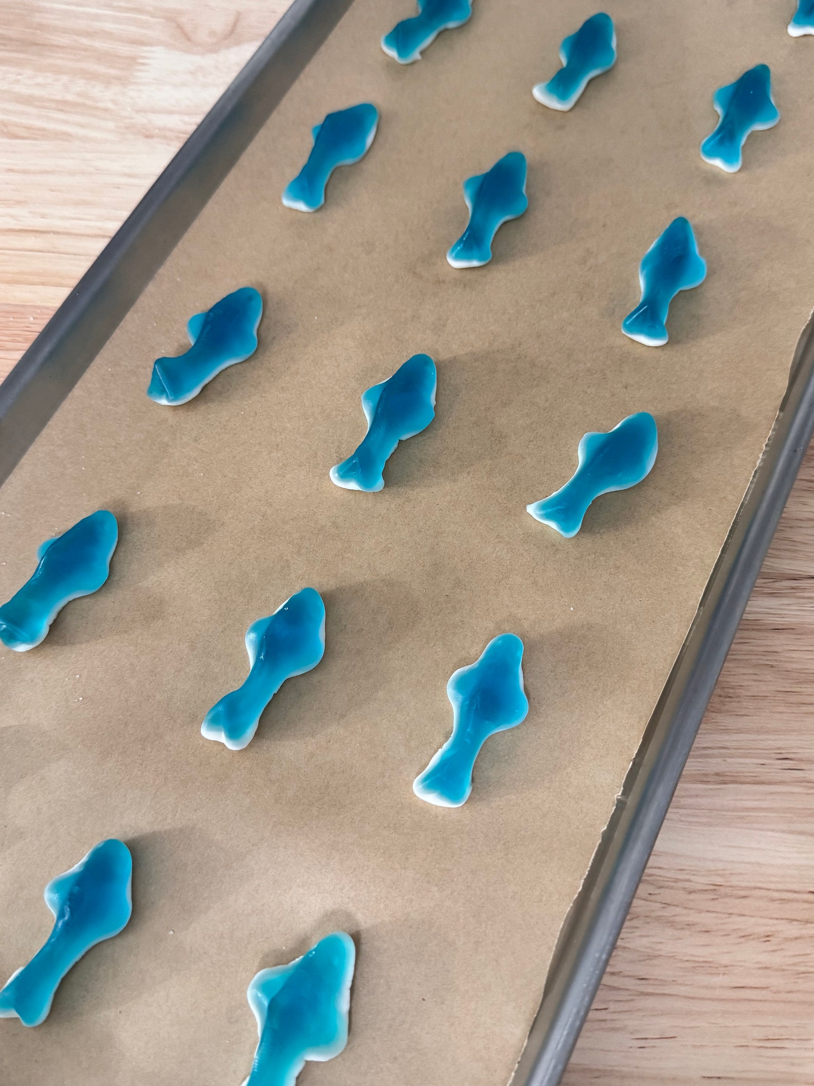 Freeze-dried Gummy Sharks Puffs-freeze Dried Candy Snacks-kids Snacks ...