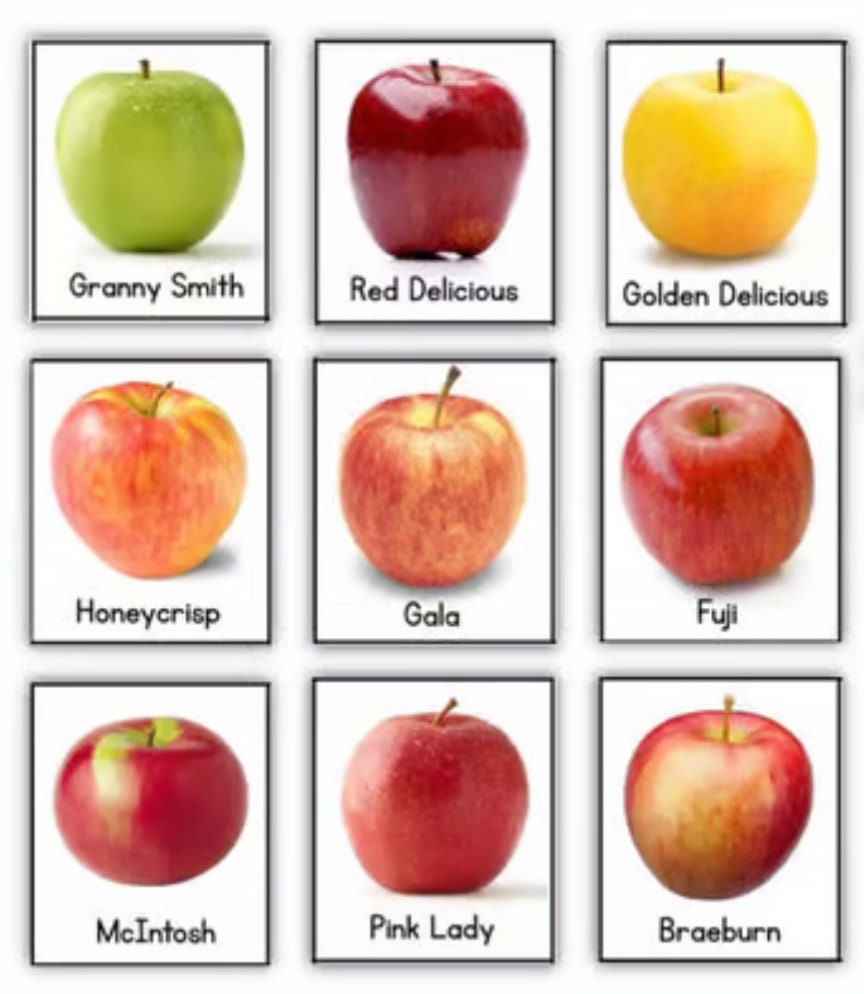 Organic Freeze Dried RED APPLES SLICES Healthy Freeze Dried Fruit ...