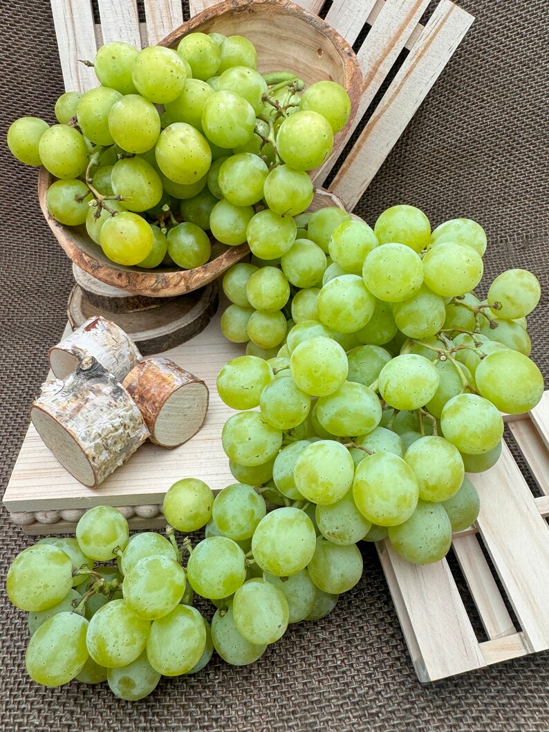 Freeze Dried ORGANIC GREEN GRAPE Halves Healthy Freeze Dried Fruit ...