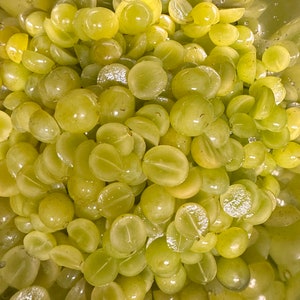 Freeze Dried ORGANIC GREEN GRAPE Halves Healthy Freeze Dried Fruit ...