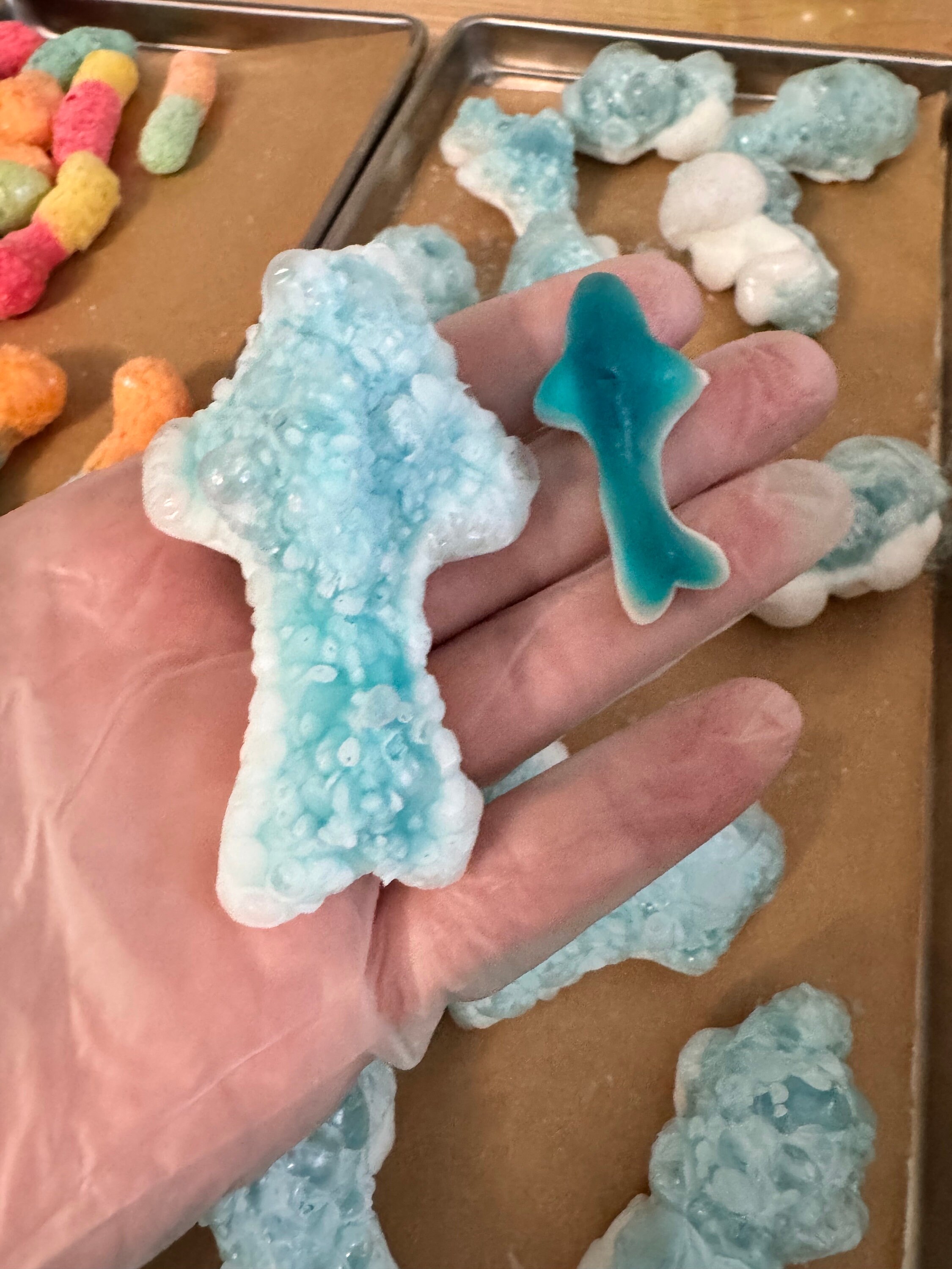 Freeze-dried Gummy Sharks Puffs-freeze Dried Candy Snacks-kids Snacks ...