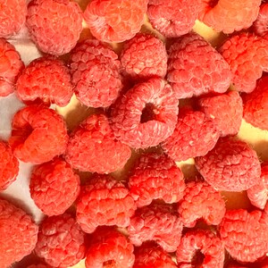 Organic Freeze Dried Raspberries-healthy Freeze Dried Fruit Snacks ...