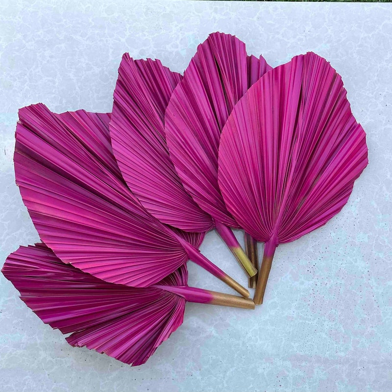 Palm Leaf Fans - Etsy