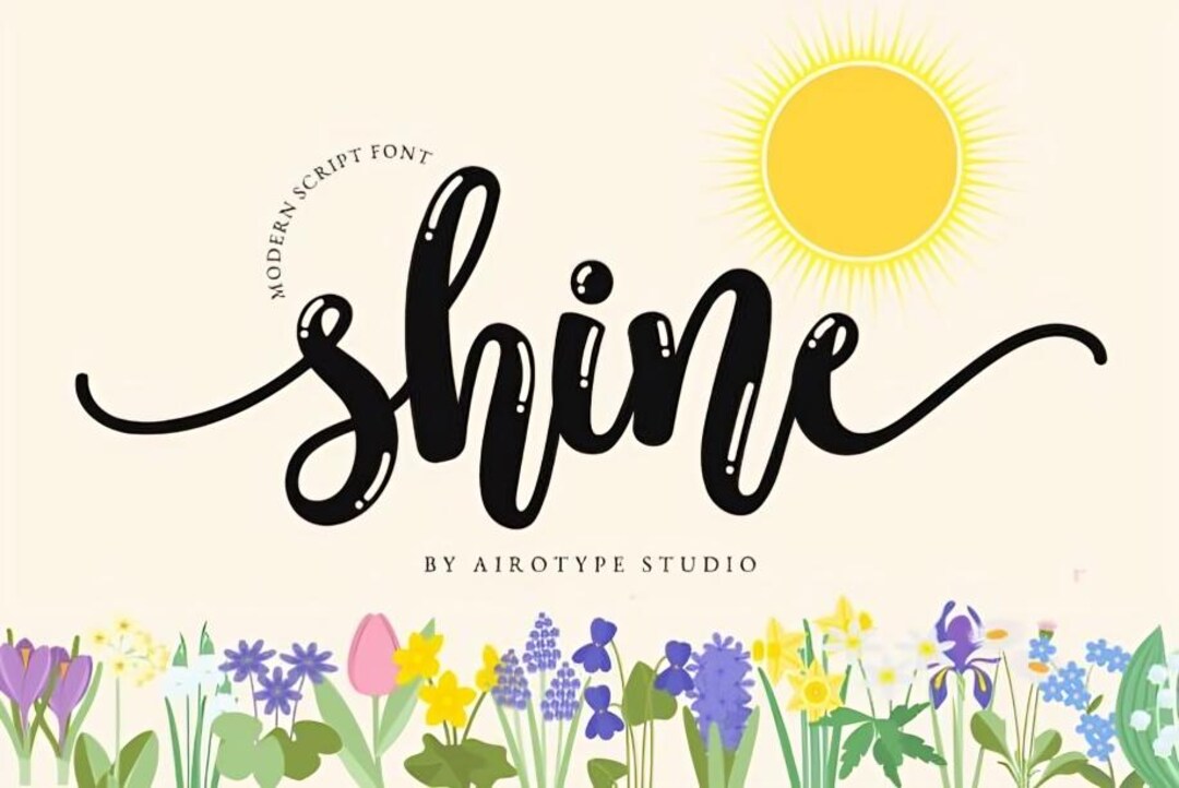 Shine Font, Handwritten Font, Calligraphy Font, Cursive Font, Swash ...