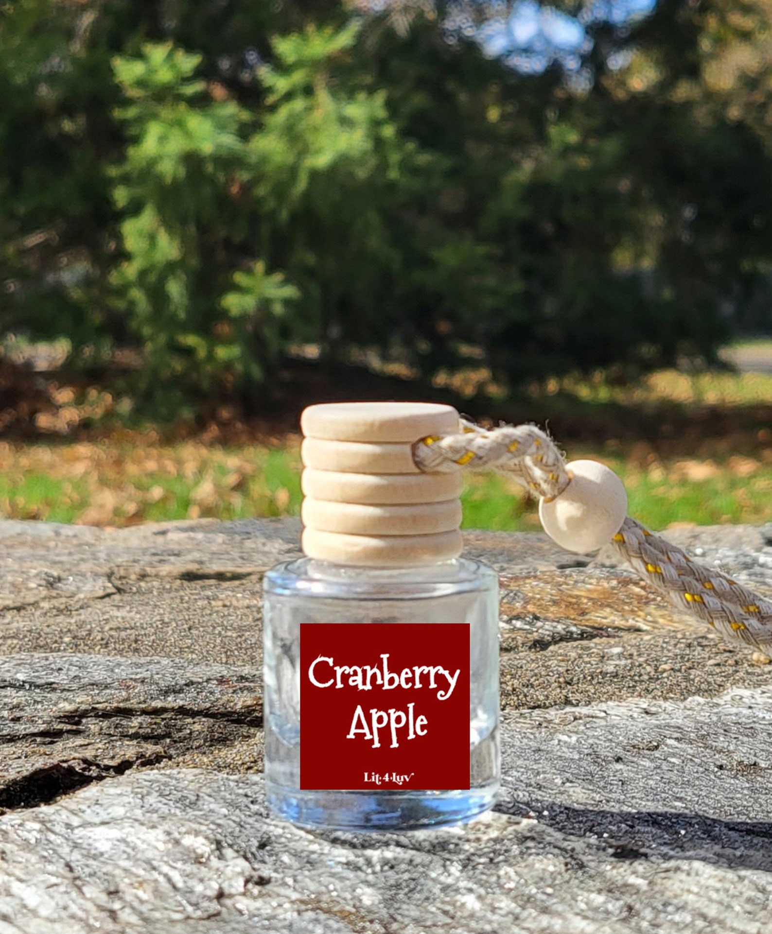 Drew Starkey Hanging Scented Car Diffuser Celebrity Car Air Fresheners ...