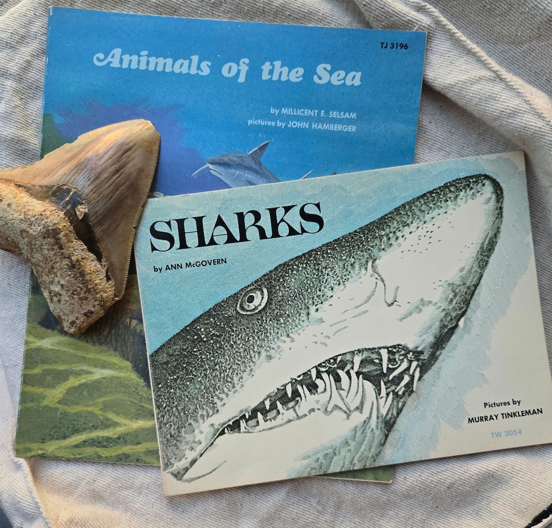 Sharks and Animals of the Sea - Vintage Kid's Book Bundle - 1970's ...