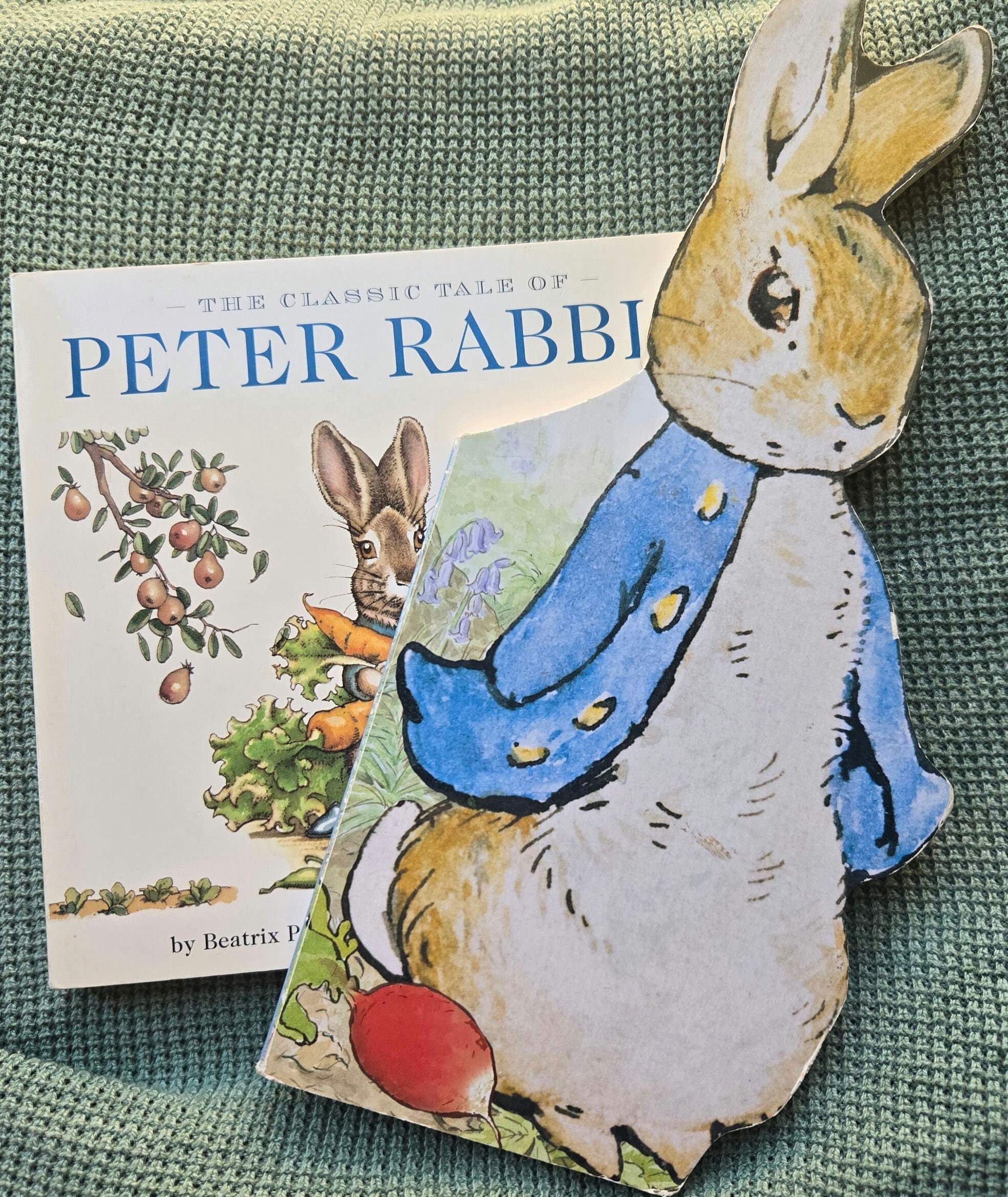 Peter Rabbit Board Books - Used Book Bundle - Beatrix Potter - Etsy