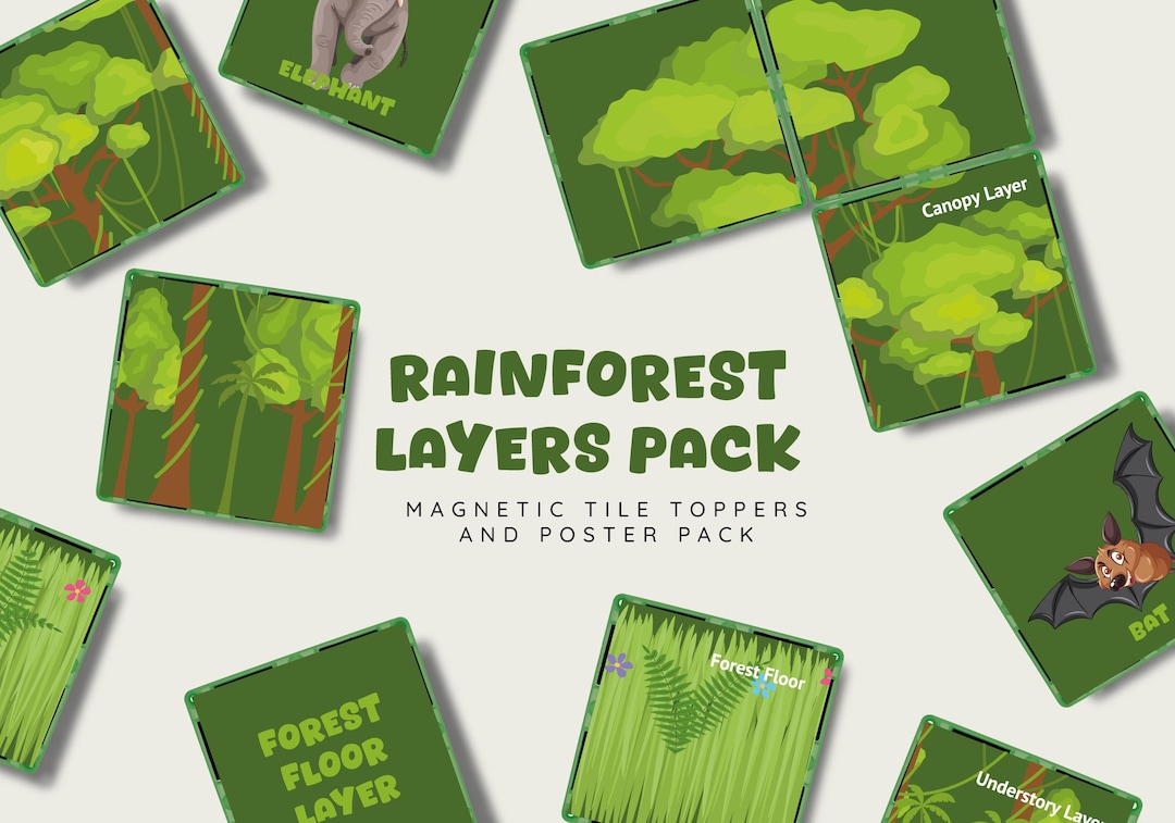 Rainforest Layers and Animals Match up Pack: Magnetic Tile Stickers ...