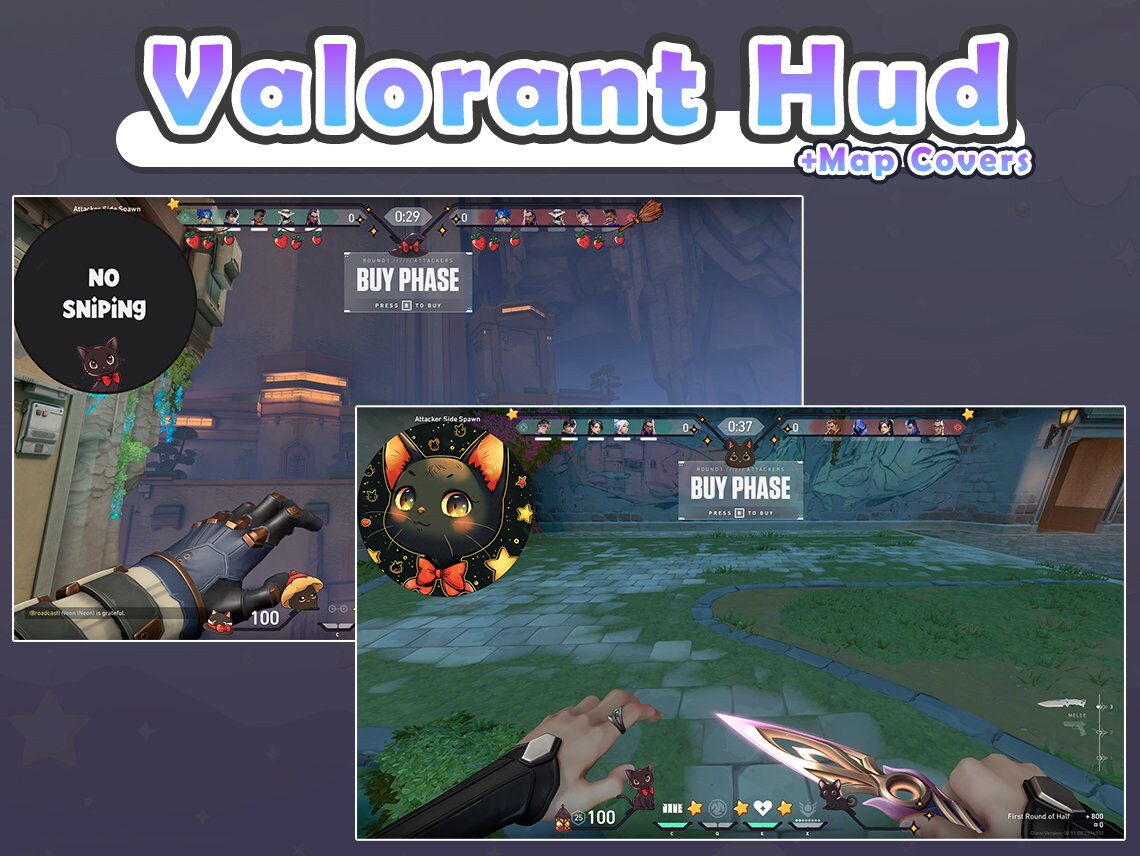 Valorant Hud Twitch Screen Overlay Twitch Panel Twitch Cute Hud ...
