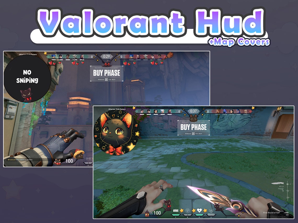 Valorant Hud Twitch Screen Overlay Twitch Panel Twitch Cute Hud ...