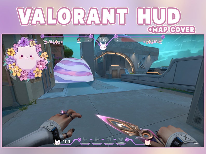 Valorant Hud Twitch Screen Overlay Twitch Panel Twitch Cute Hud Valorant Screen Cute Cat