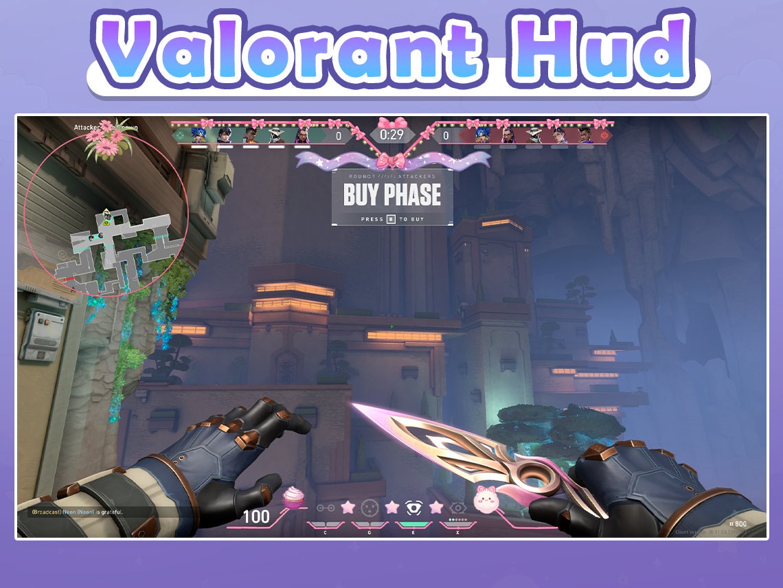 Valorant Hud Twitch Screen Overlay Twitch Panel Twitch Cute Hud ...