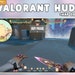 Valorant Hud Twitch Screen Overlay Twitch Panel Twitch Cute Hud ...