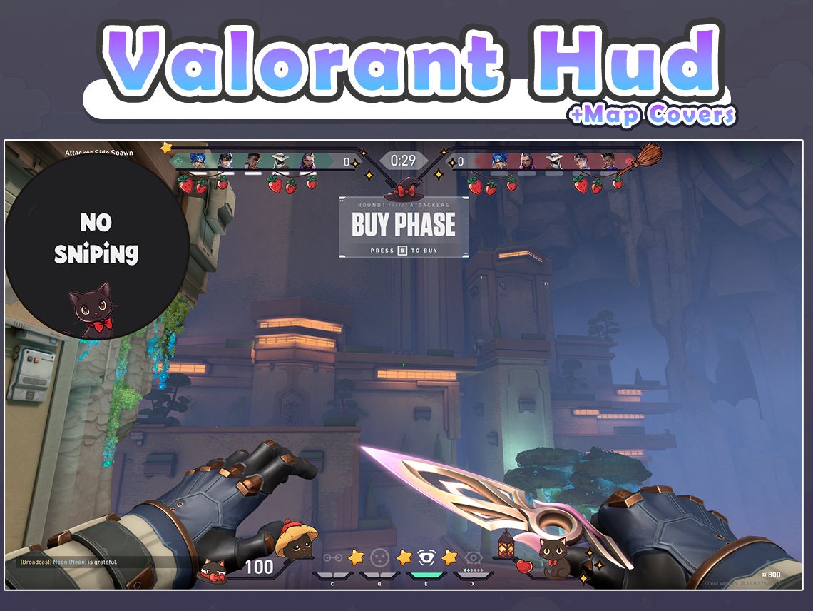 Valorant Hud Twitch Screen Overlay Twitch Panel Twitch Cute Hud ...