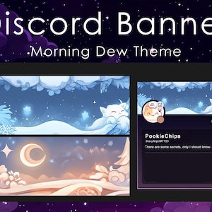 Discord Banner | Starry Night Moon Theme | Cute Cozy Aesthetic | Custom ...