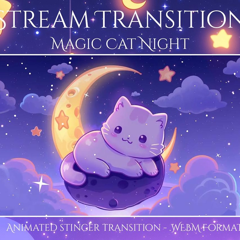 Police Stream Overlay - Etsy