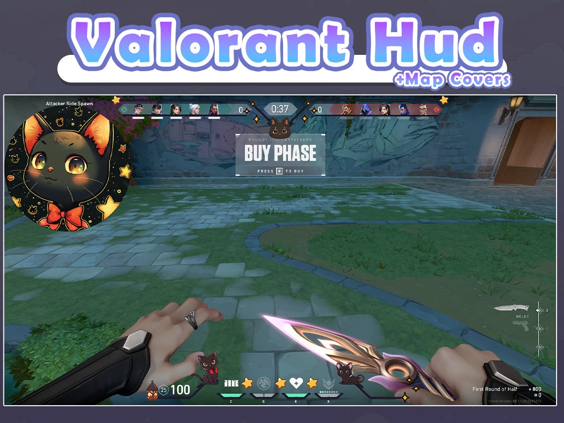 Valorant Hud Twitch Screen Overlay Twitch Panel Twitch Cute Hud ...