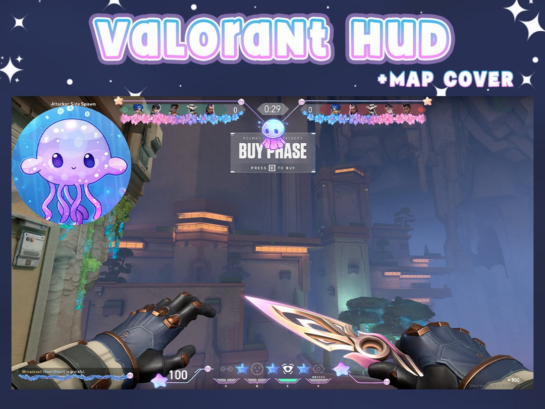 Valorant Hud Twitch Screen Overlay Twitch Panel Twitch Cute Hud ...