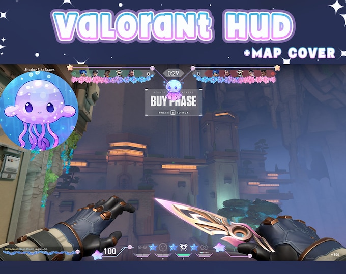 Valorant Hud Twitch Screen Overlay Twitch Panel Twitch Cute Hud ...