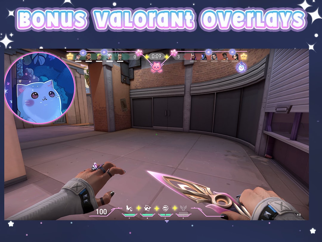 Valorant Hud Twitch Screen Overlay Twitch Panel Twitch Cute Hud ...