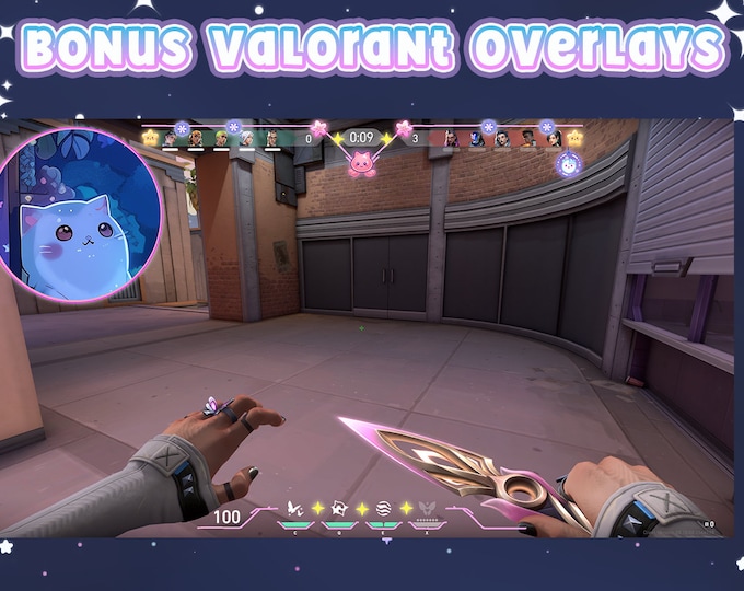 Valorant Hud Twitch Screen Overlay Twitch Panel Twitch Cute Hud ...