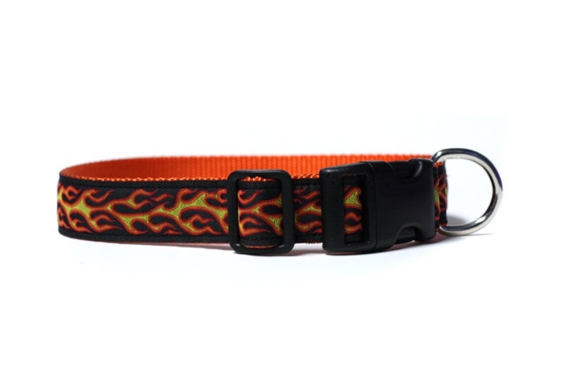 1 Inch Wide Dog Collar With Adjustable Buckle or Martingale in Orange ...