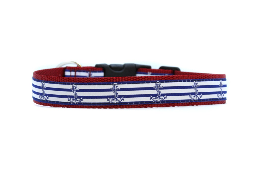 1 Inch Wide Dog Collar With Adjustable Buckle or Martingale in ...